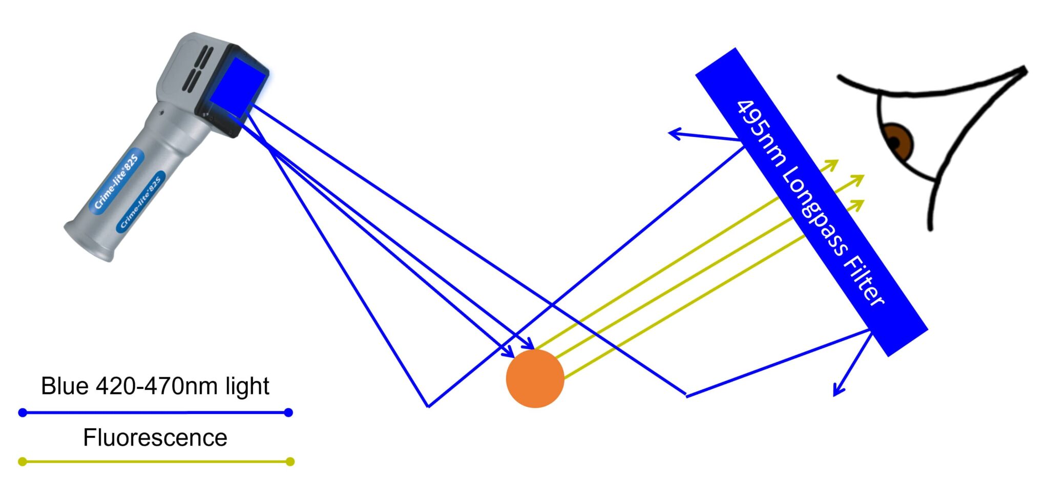 Crime-lite Applications: Visualisation of Illicit Substances | Foster ...
