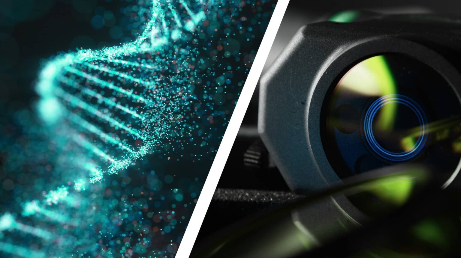 The Crucial Role of Forensic Science in Upholding Social Justice ...
