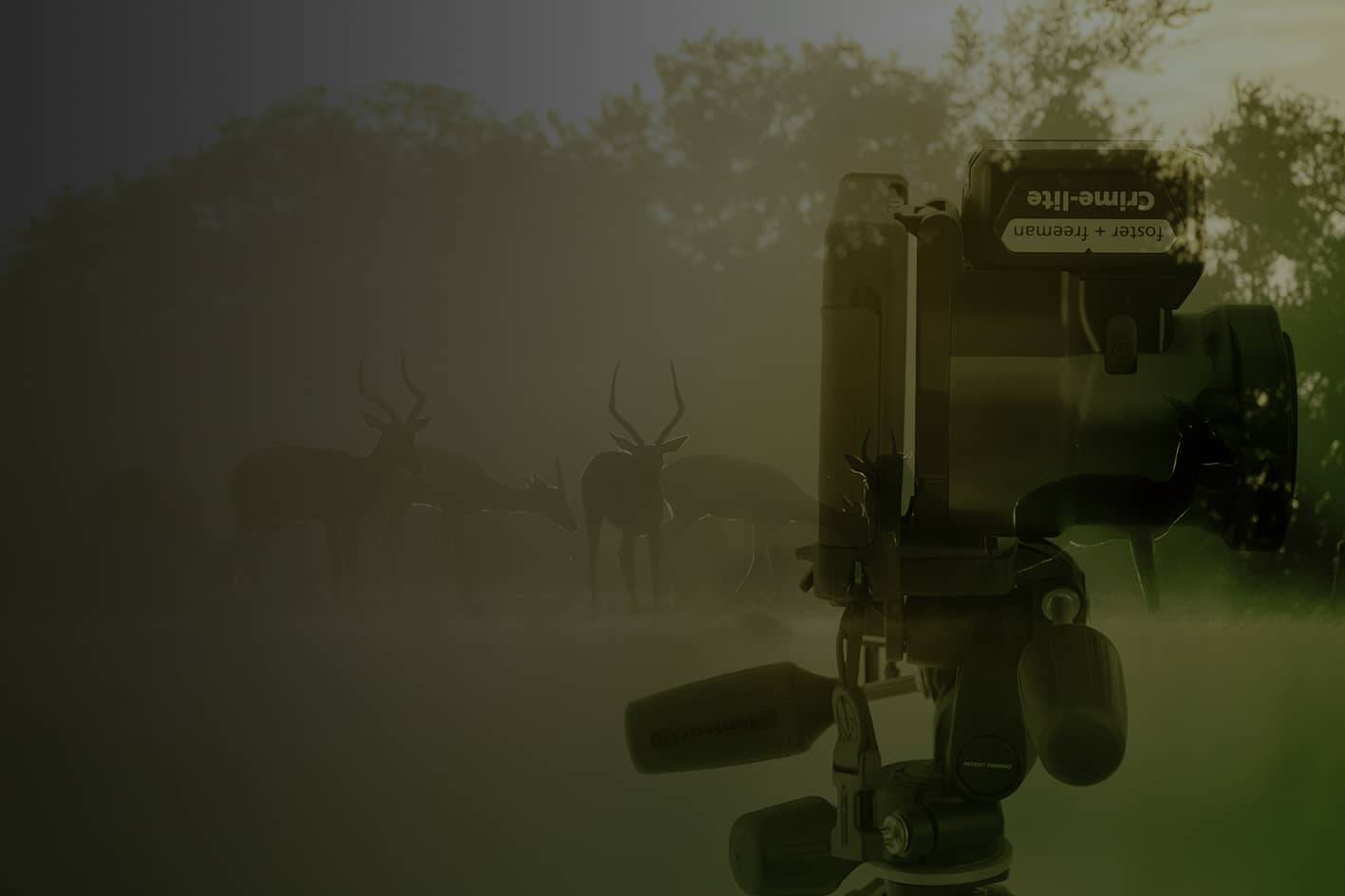 Wildlife Forensic Solutions | Foster + Freeman